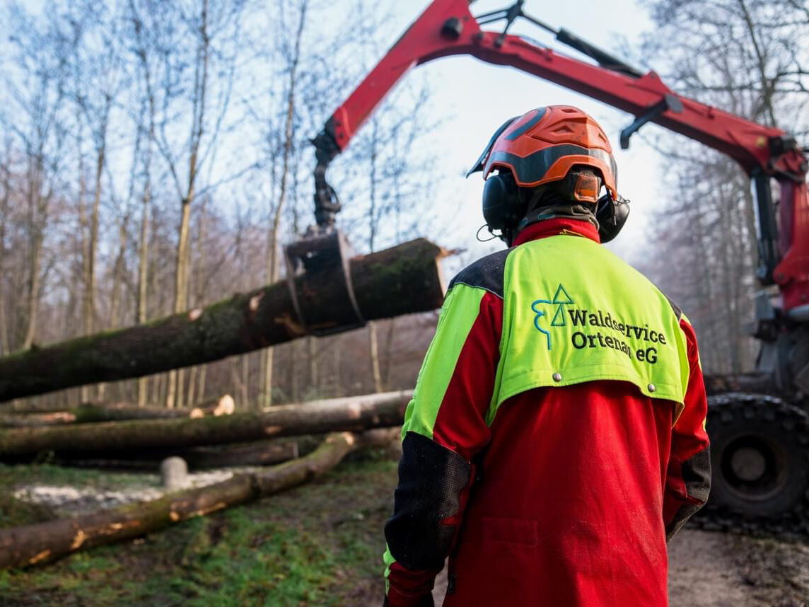 Profil von Waldservice Ortenau eG - Klimapositive Waldwirtschaft