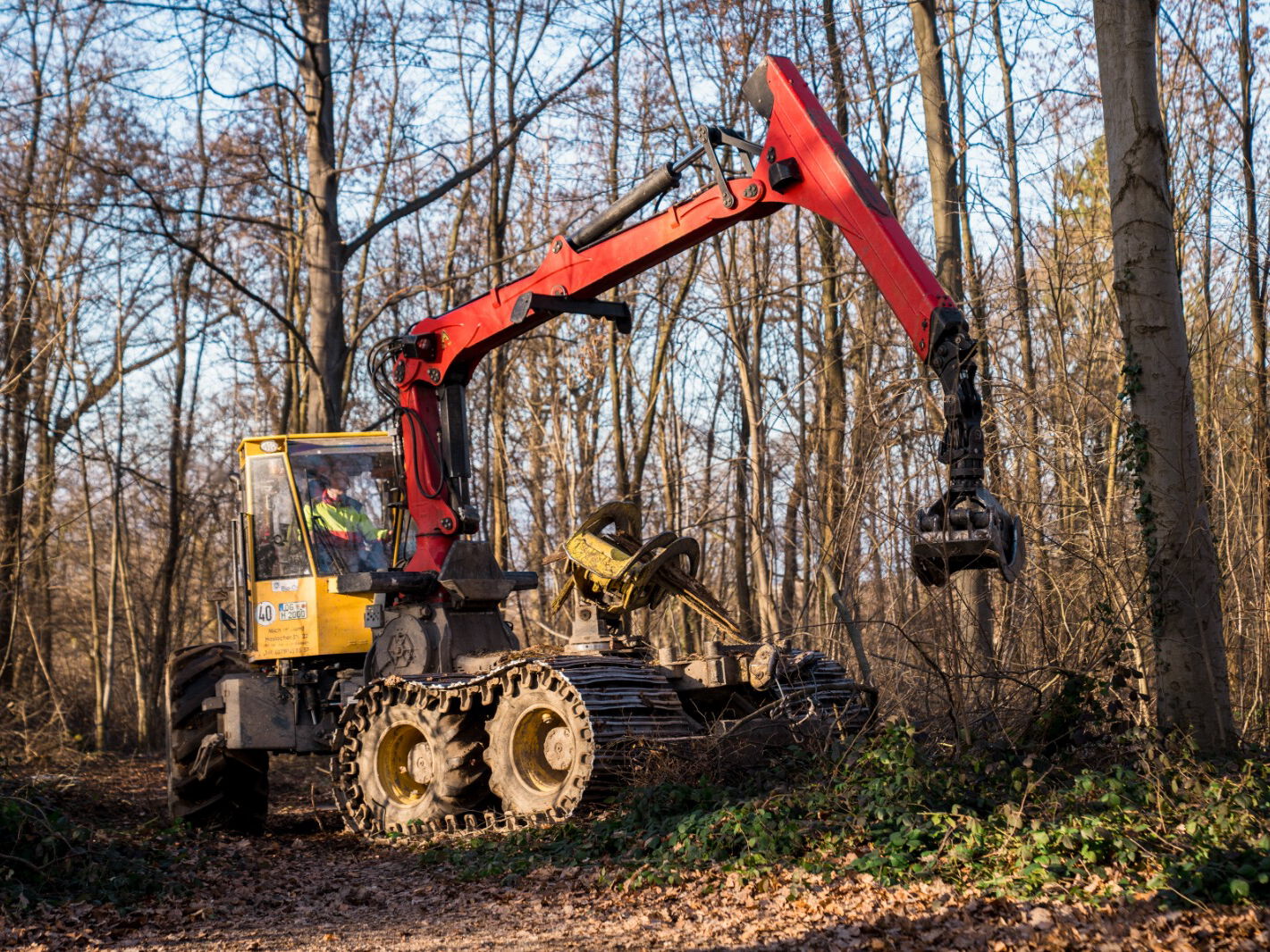 Profil von Waldservice Ortenau eG - Klimapositive Waldwirtschaft